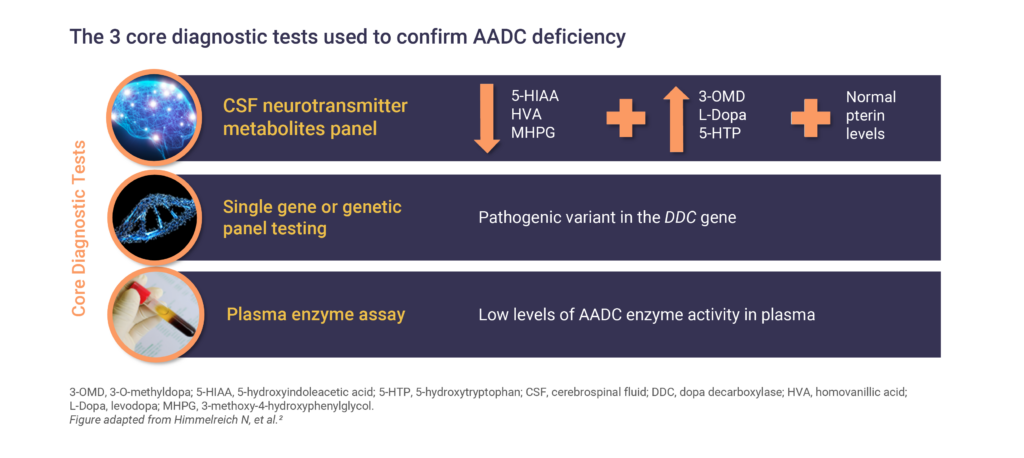 AADC deficiency disease overview - MEDhub US