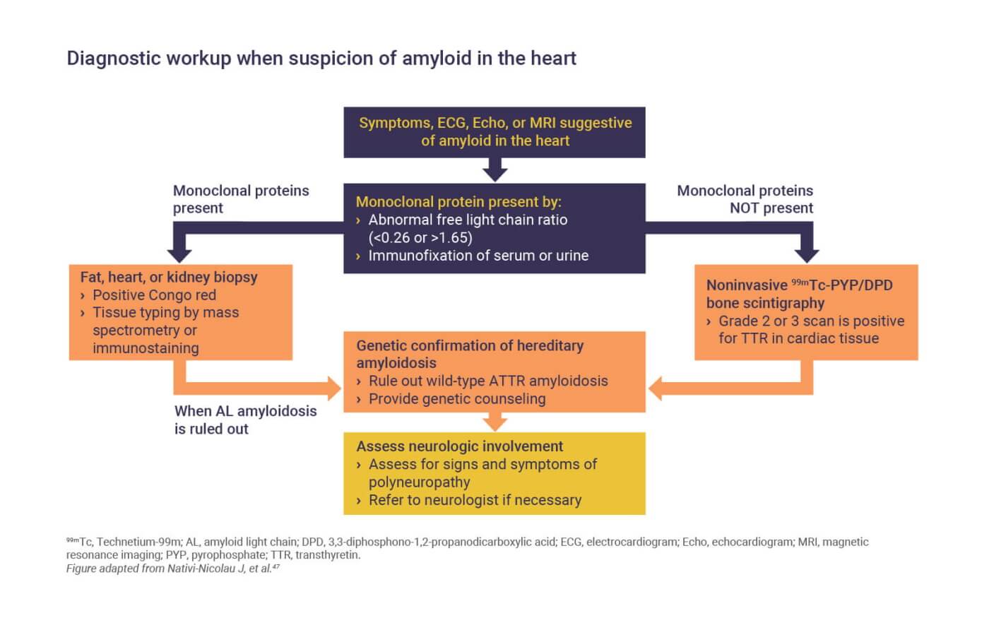 hATTR disease overview - MEDhub