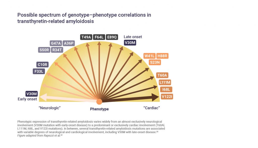 hATTR disease overview - MEDhub