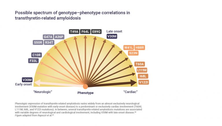 hATTR disease overview - MEDhub