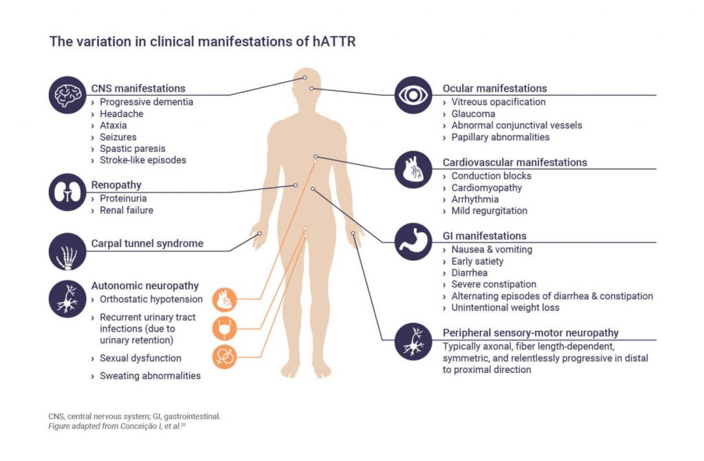 hATTR disease overview - MEDhub