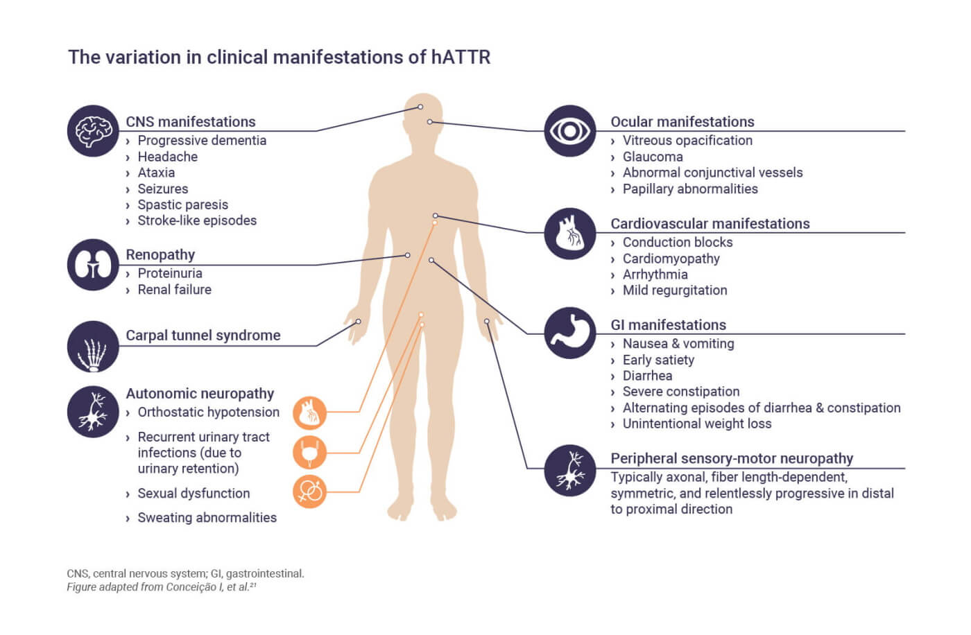 hATTR disease overview - MEDhub