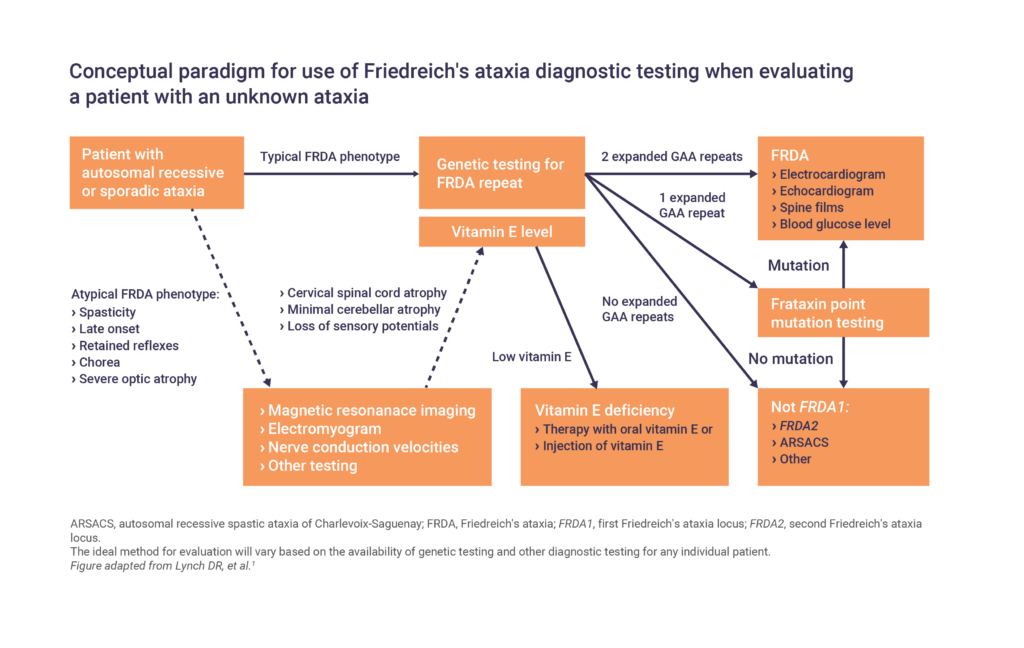 Friedreich’s ataxia disease overview - MEDhub