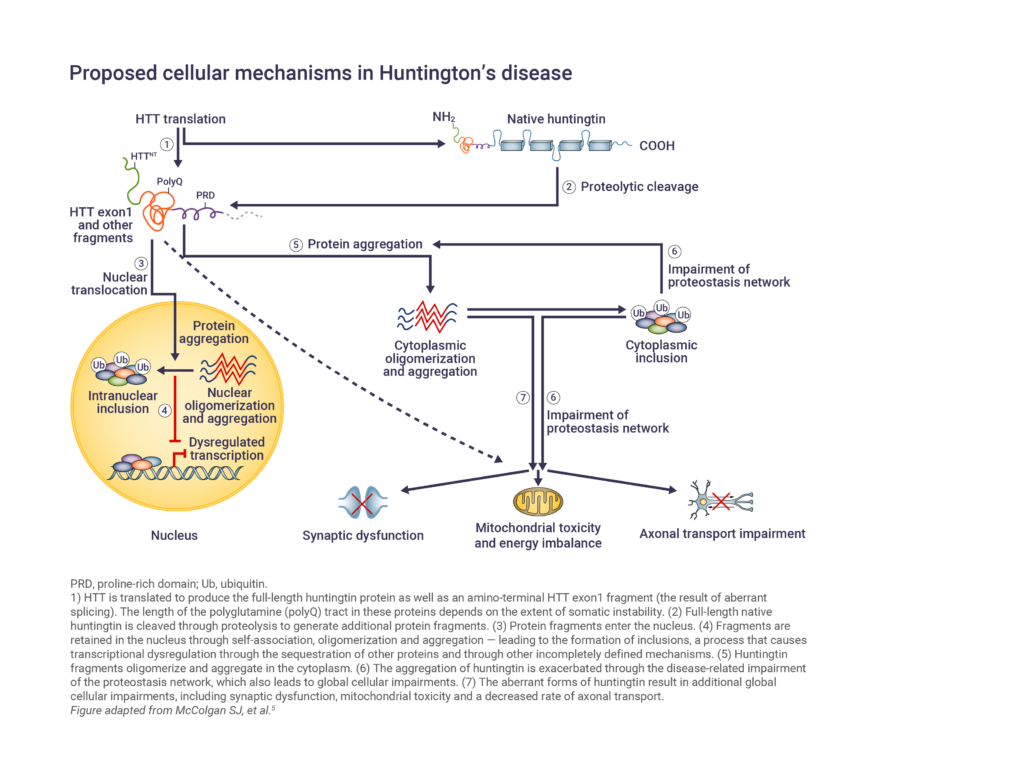 Huntington’s disease overview - MEDhub